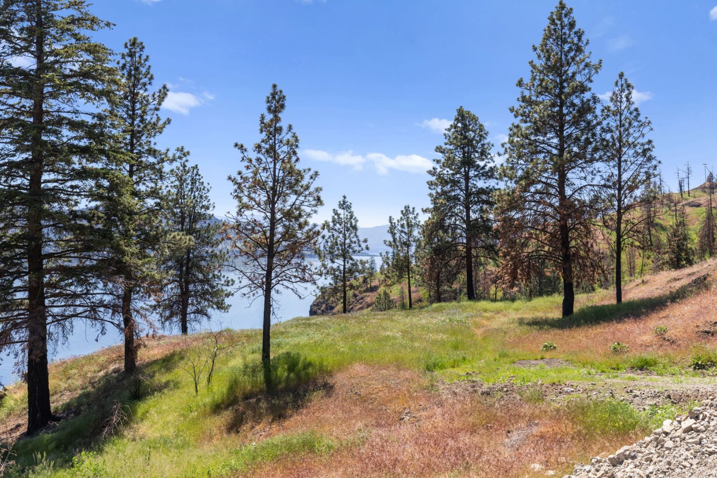 695 Westside Road N, Kelowna, BC, V1Z 3X1 - Jane Hoffman Realty